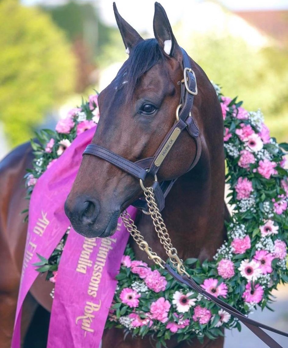 Stallions and and their offspring's results are updated (1 ...